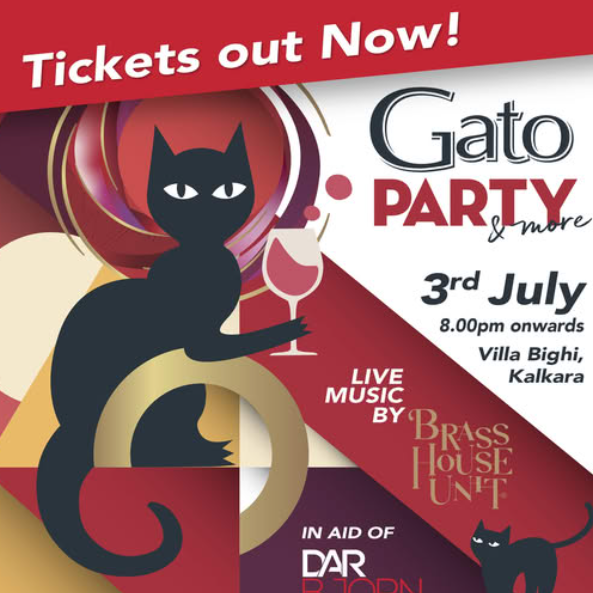 Gato Party