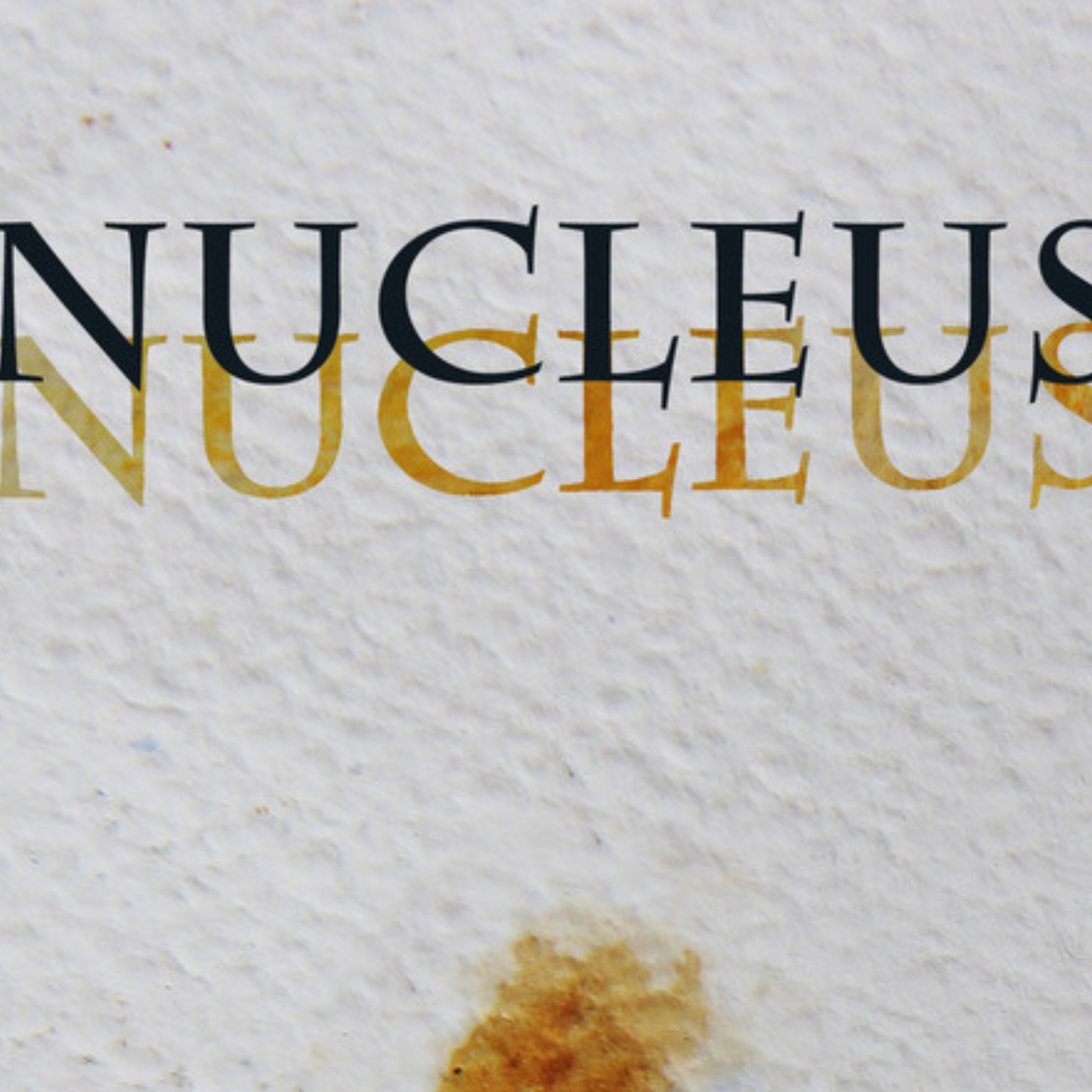 Nucleus