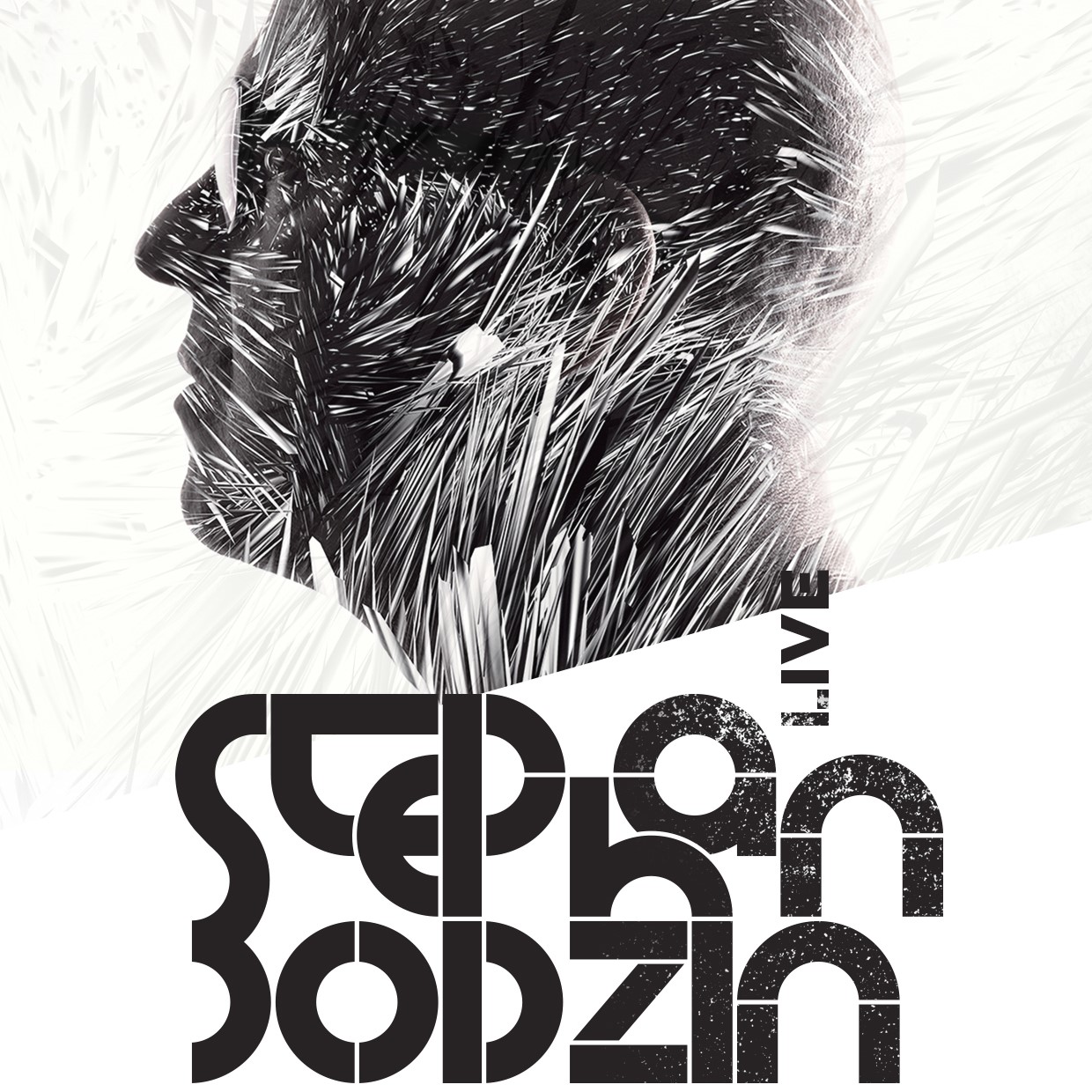 Stephan Bodzin Live at Gianpula