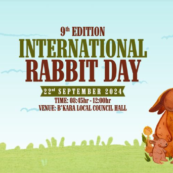 The 9th Edition - International Rabbit Day