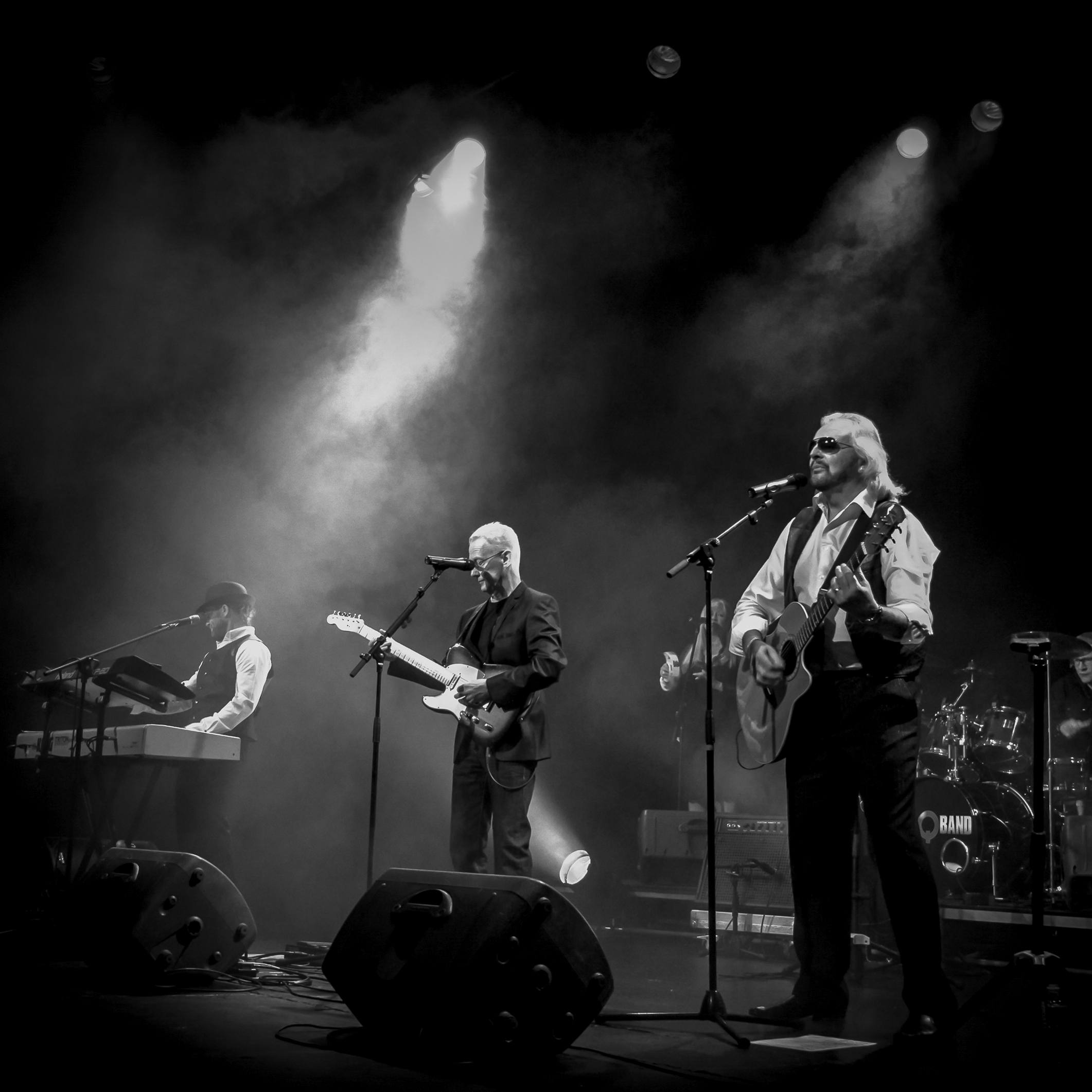 Boogie with the Saturday Night Bee Gees